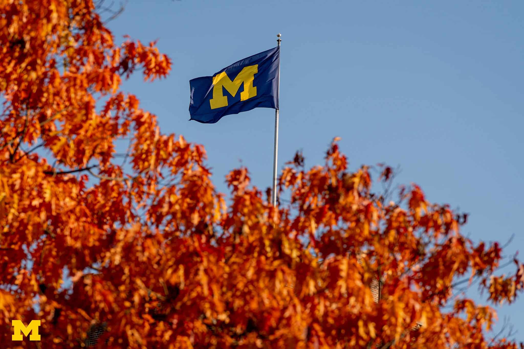 Michigan Ross Academics